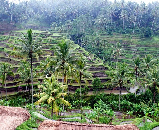 #fromwhereyoudratherbe