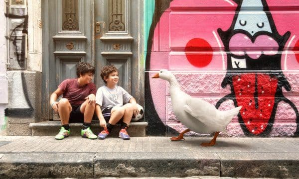 Air New Zealand lets a goose run loose in Buenos Aires – Karryon