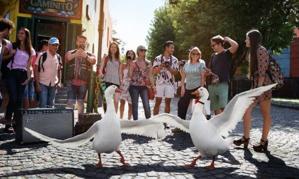 Air New Zealand lets a goose run loose in Buenos Aires – Karryon