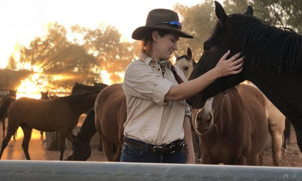 INTRODUCING JILLAROO: Qantas dedicates new 787 Dreamliner to cattle ...