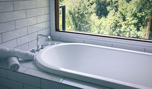 EDEN HEALTH RETREAT: Give your body a First Class travel experience in ...