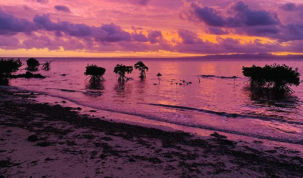 HOTEL REVIEW: A night at the 5-star Jean-Michel Cousteau Resort Fiji ...