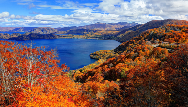 Virtual Tour: A destination for ALL seasons you can fall in love with ...