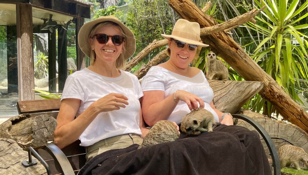 Hotel review: Jamala Wildlife Lodge "the best birthday ever"