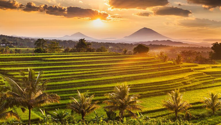 Qantas Asia Red Tail Sale drops with return fares from $519