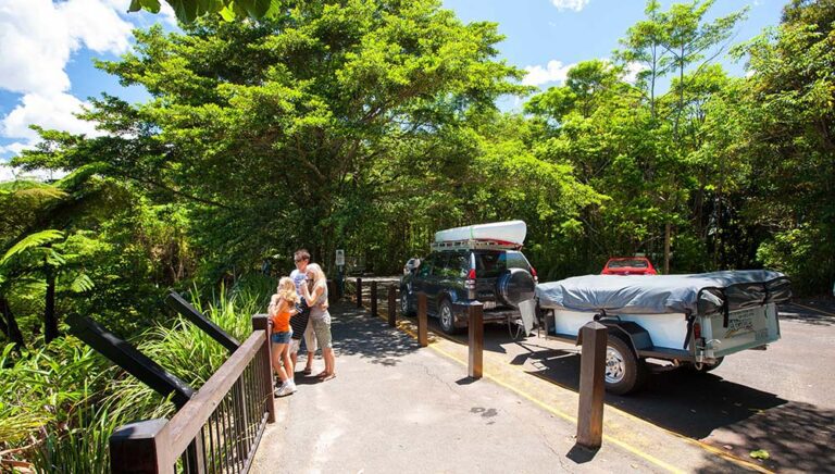 Queensland's Daintree National Park reopened for day trips