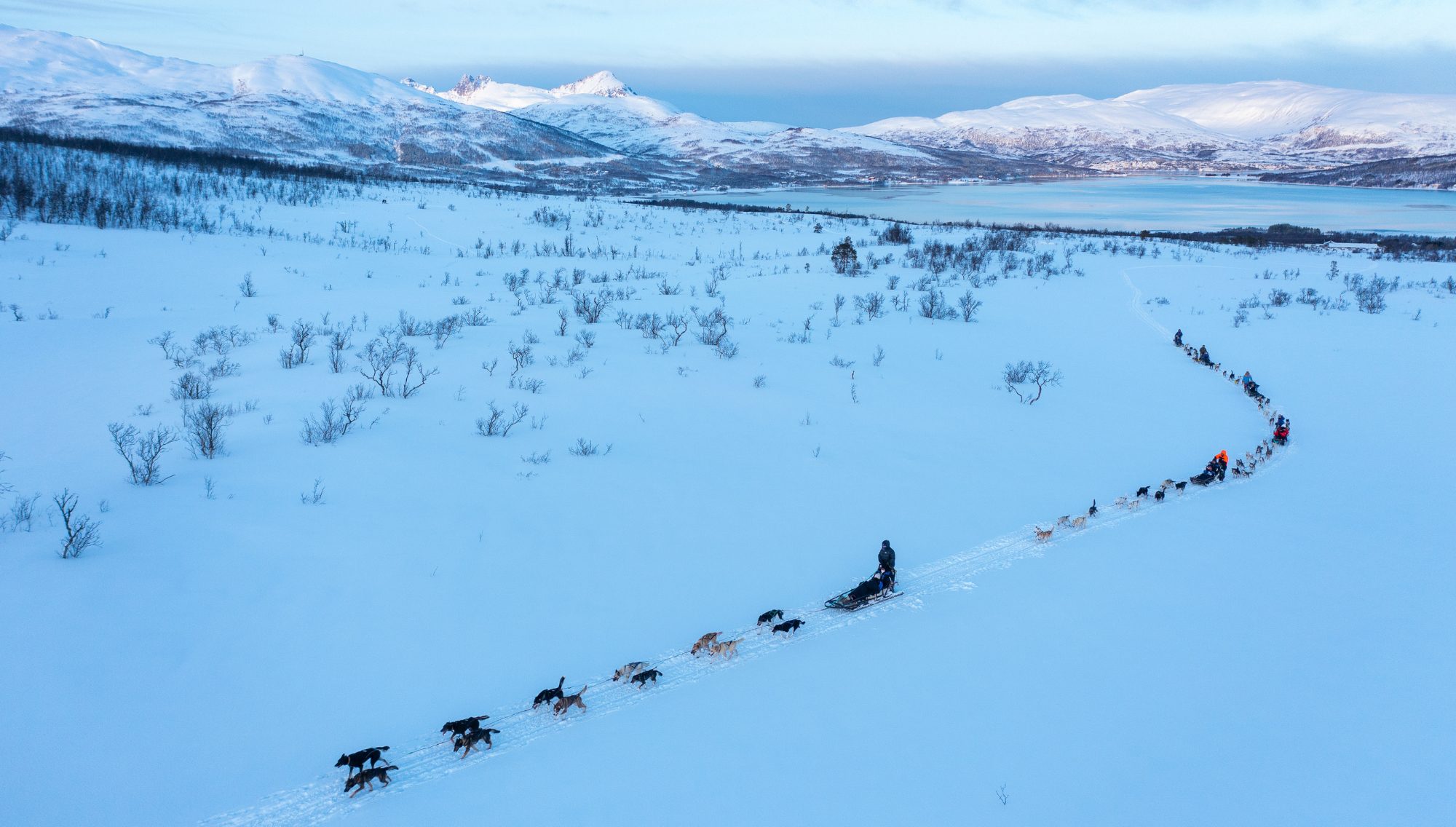 Light up your life: Hurtigruten's Follow The Lights tour returns + EB ...