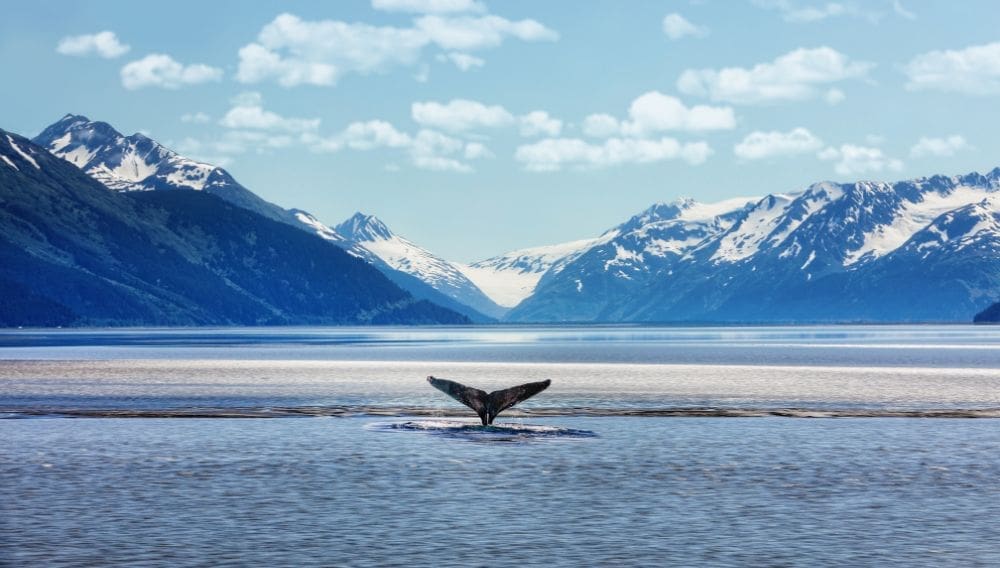 Explore Collette's new Canadian Rockies and Alaska's Inside Passage ...