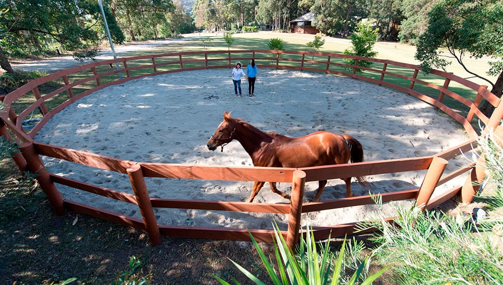 Wellness tourism up 200% as Aussies seek solace & spa time