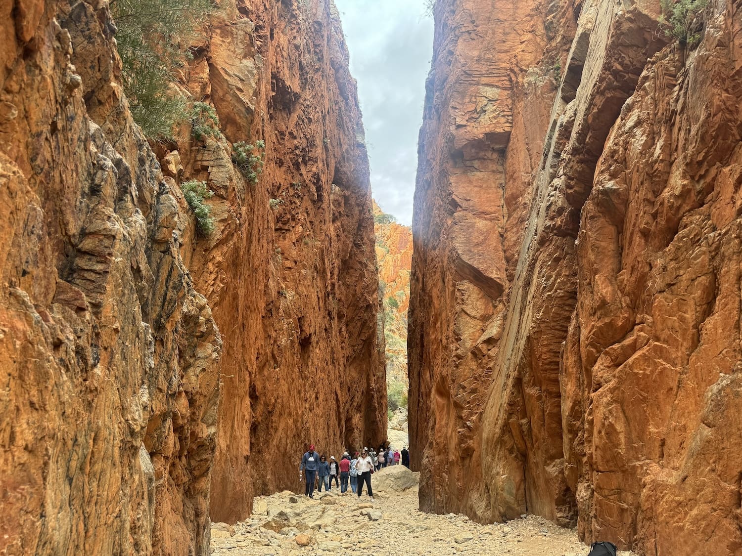 The Ghan turns 95: Inside a celebration of connection, history & adventure
