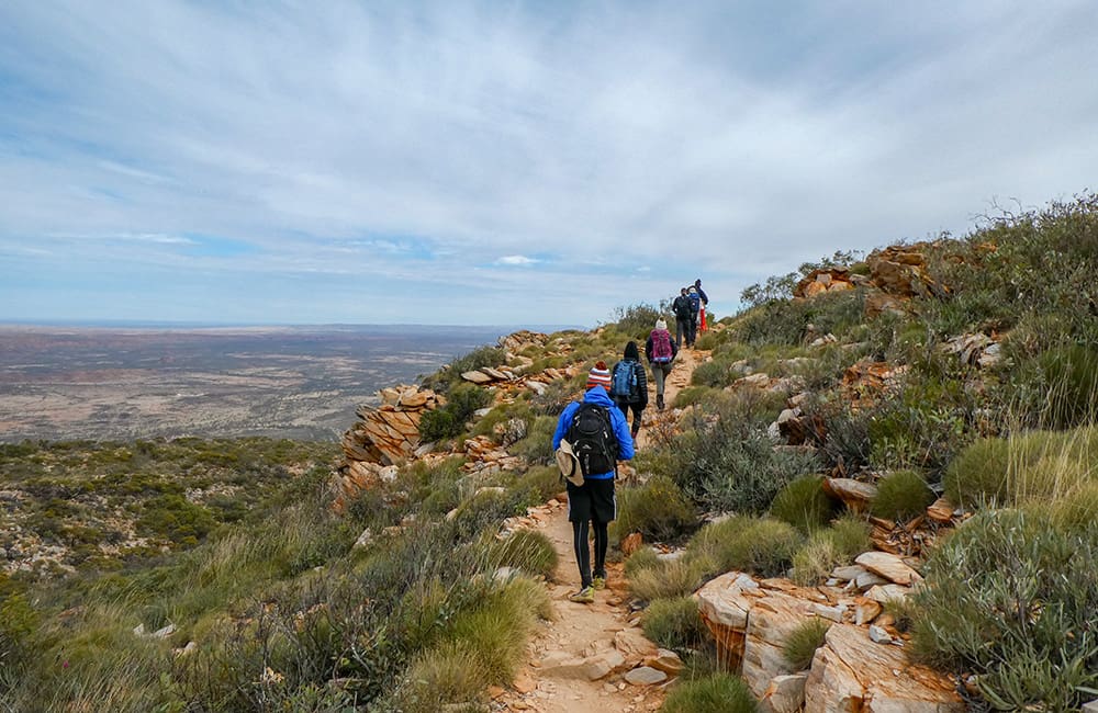 Intrepid Travel debuts First Nations-guided Larapinta trip